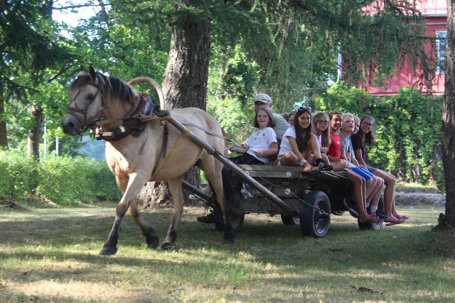 Lõimeleer: A summer camp in Estonia for Estonian youth & families ...